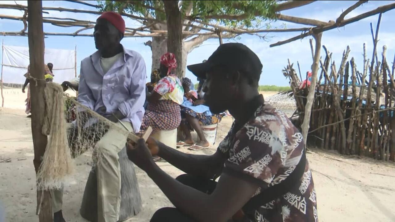 Gine-Bissaawo [4/5]: e nder Jobbel wuro wonngo e nder suriire no jogii caɗeele yeeyugol ngaluuji ...